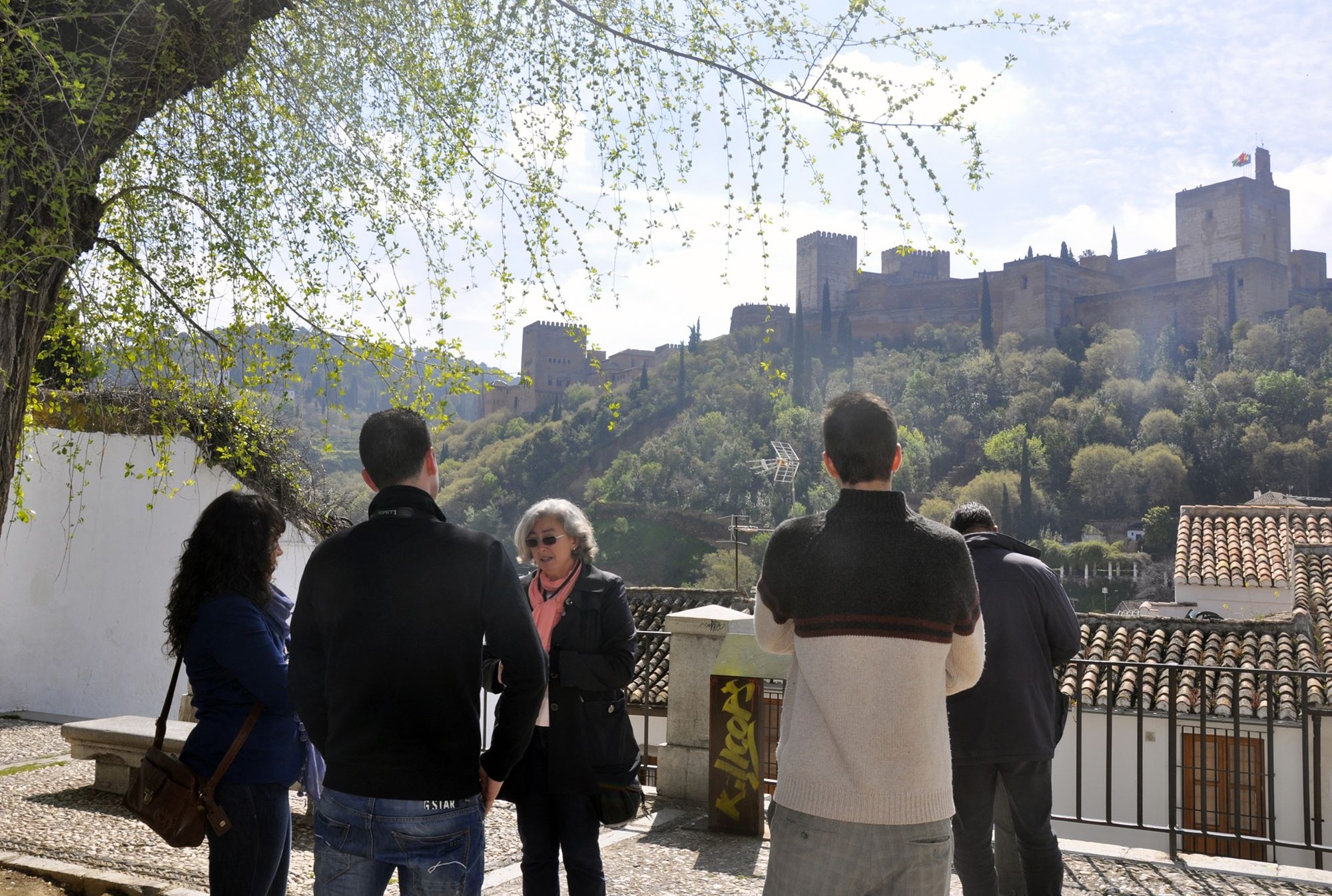 Visita guiada Granada Imprescindible. Reservar tour online con guía ...